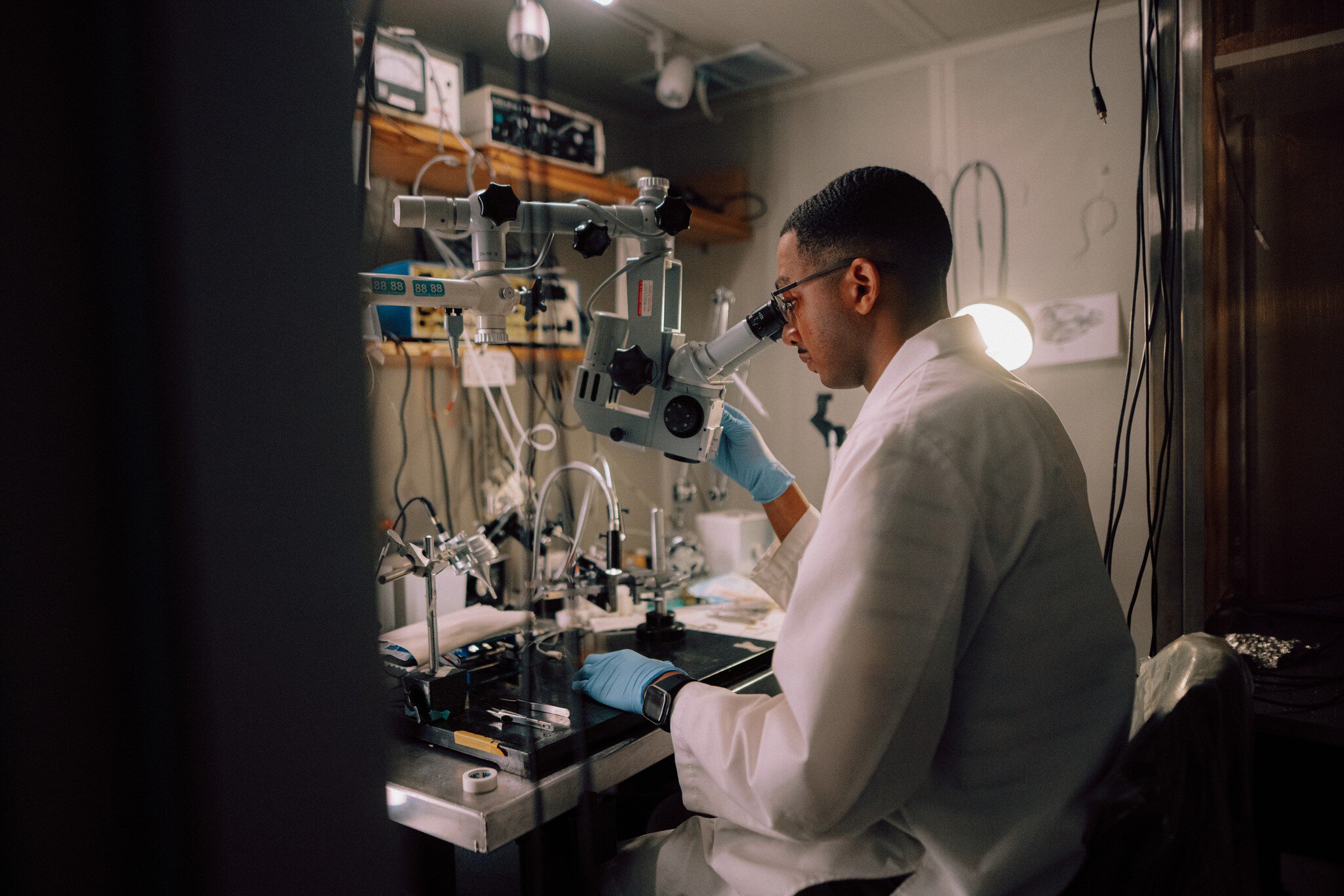 Division of Experimental Pathology | MUSC College of Medicine