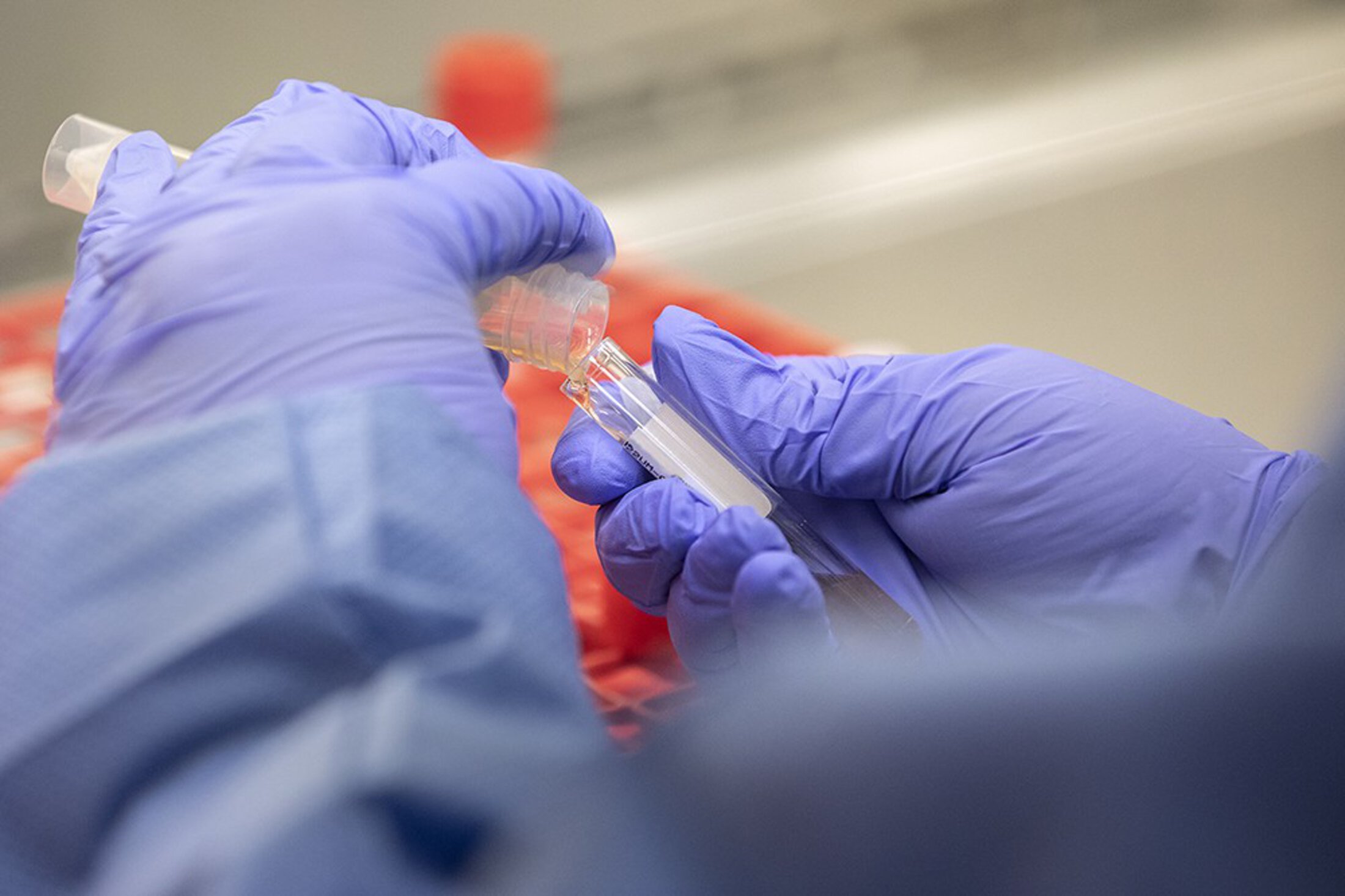 ‘It could blow up into a big outbreak. Or it could settle along at this ...