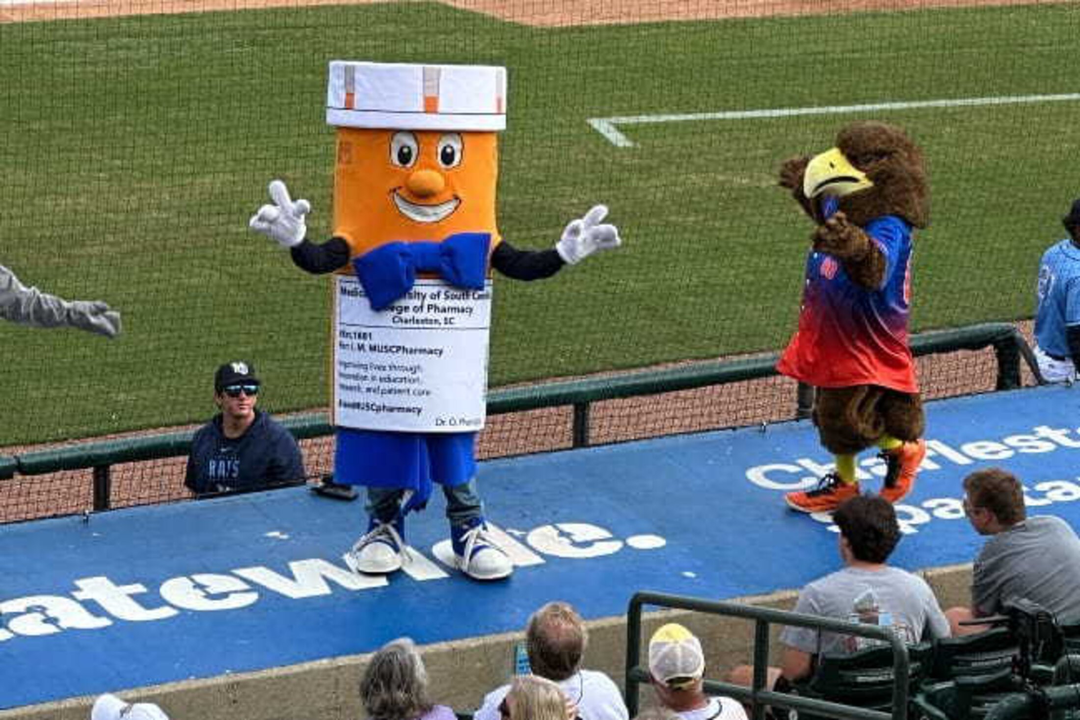 Phil the Pill at RiverDogs | MUSC