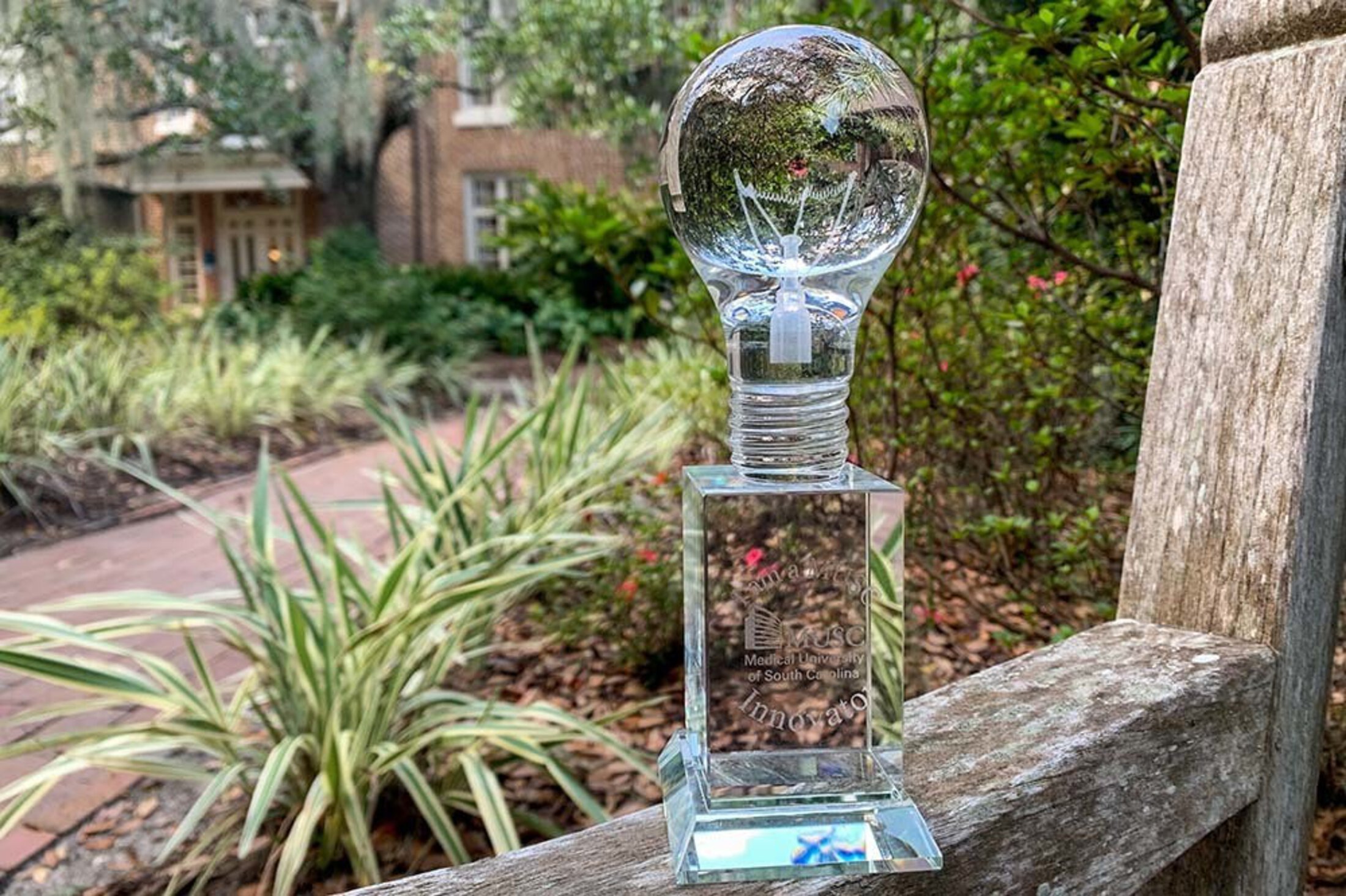 Quarterly I am an MUSC Innovator awards recognized | MUSC
